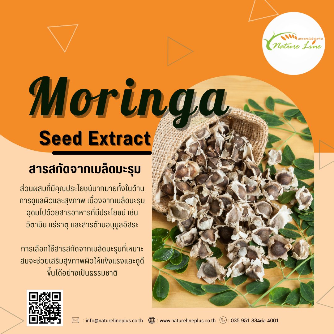 Moringa Seed Extract สารสกัดจากเมล็ดมะรุม